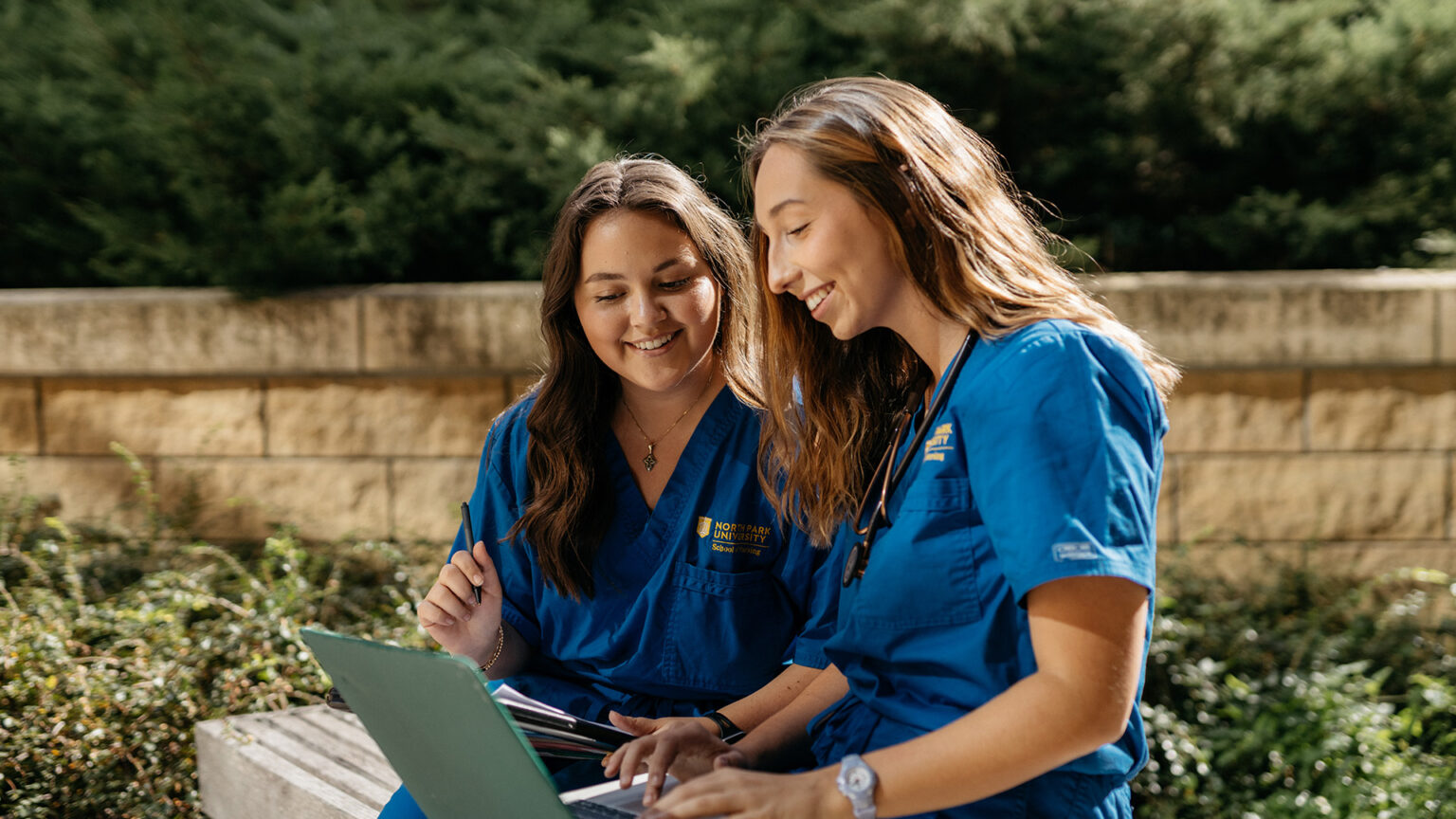 Direct Entry MSN Program in Chicago (DEMSN) - North Park University